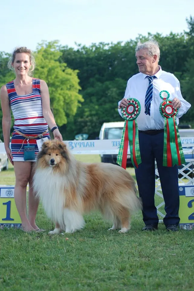 10 June 2019 | Stonehaven Pride Collies
